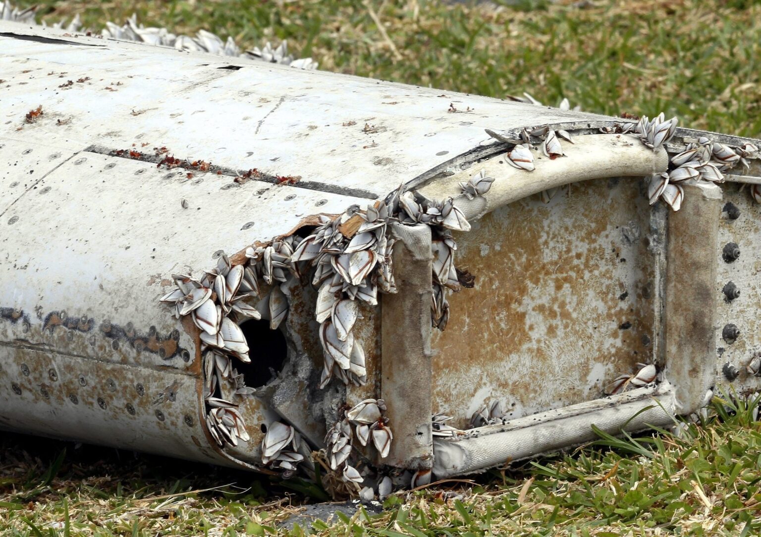 Barnacle Growth on MH370 Debris is Consistent with a 7th Arc Crash Site ...